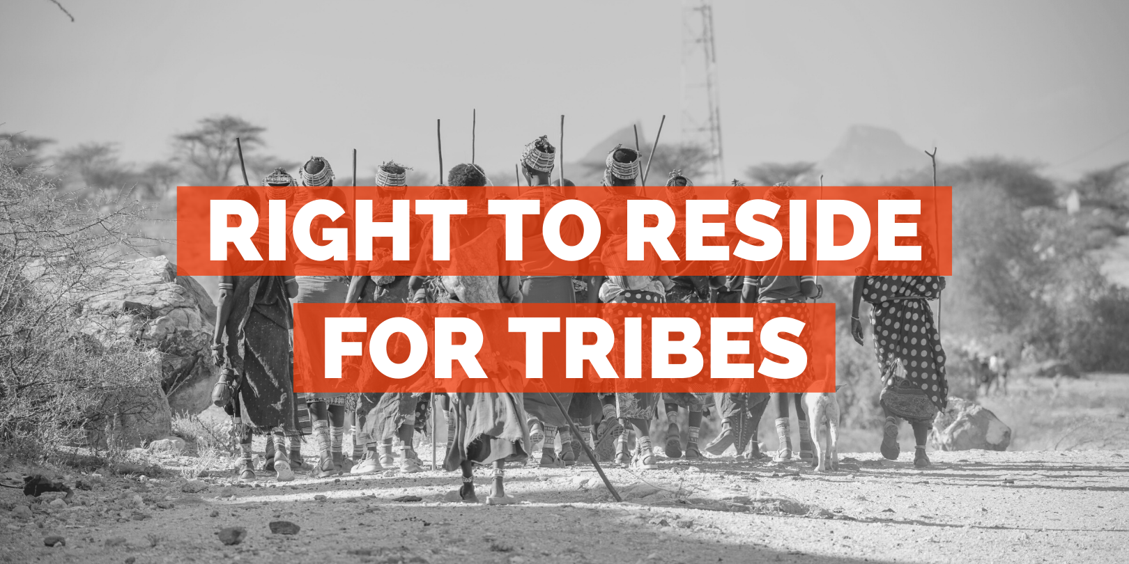 Right to Reside for Tribes | The Good Lobby