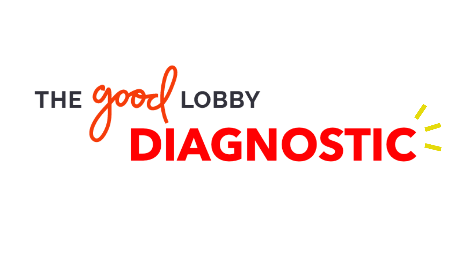 About Us | The Good Lobby