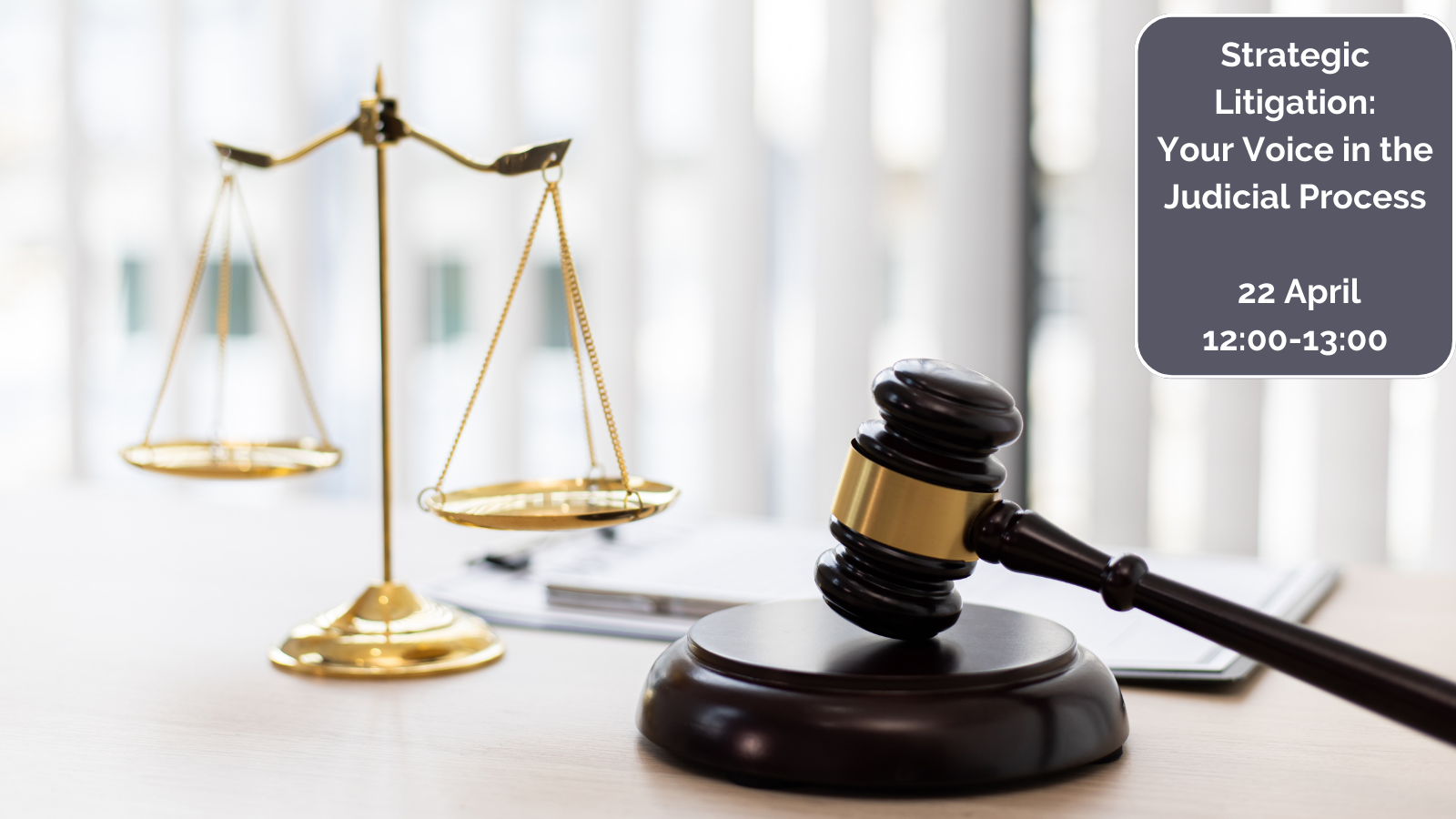 Strategic Litigation: Your Voice in the Judicial Process | The Good Lobby