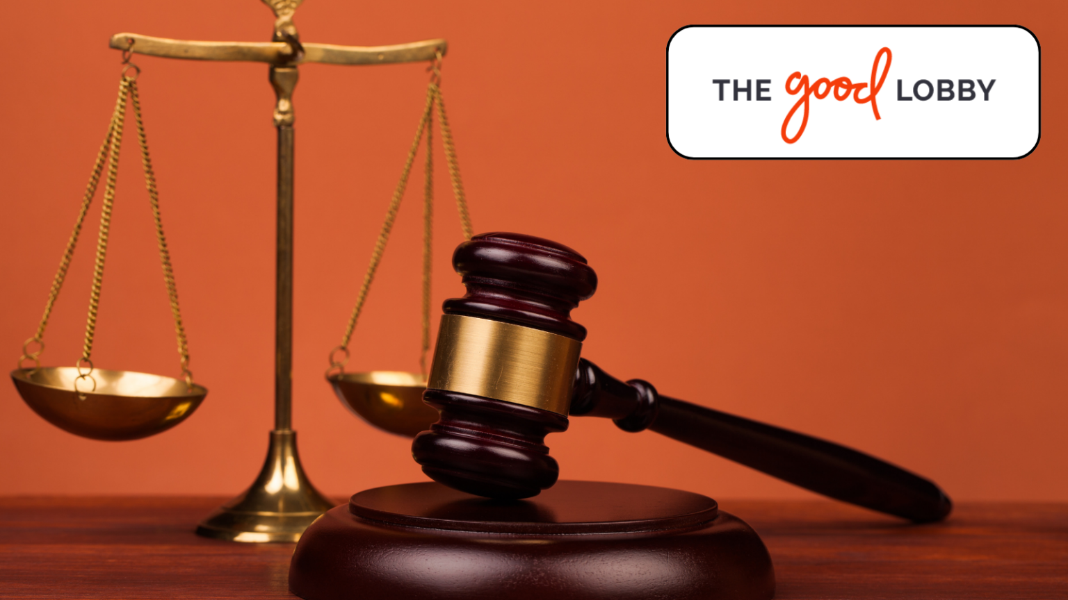 Consulting | The Good Lobby