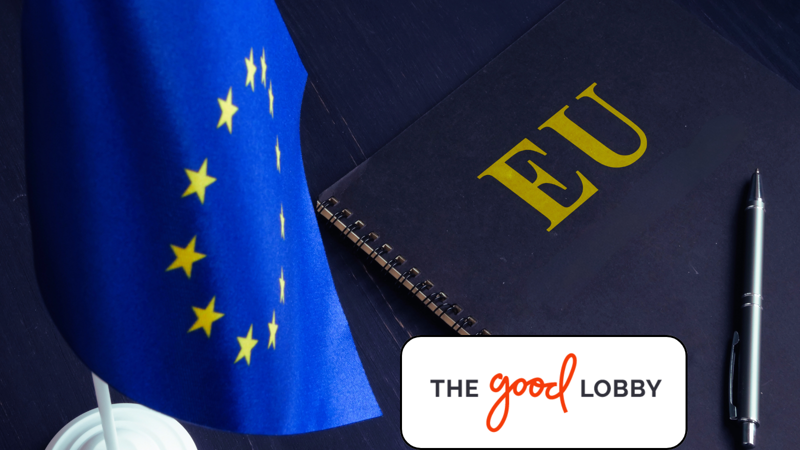 The EU Transparency Register risks turning into a paper tiger | The ...