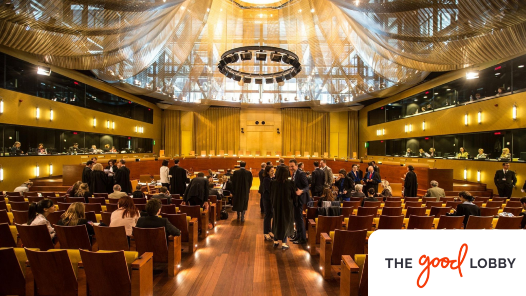 A Guide to Amicus Curiae Briefs in EU Courts Proceedings | The Good Lobby