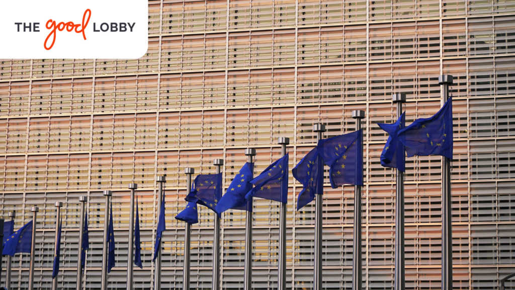 The European Commission's draft work programme for 2025 | The Good Lobby